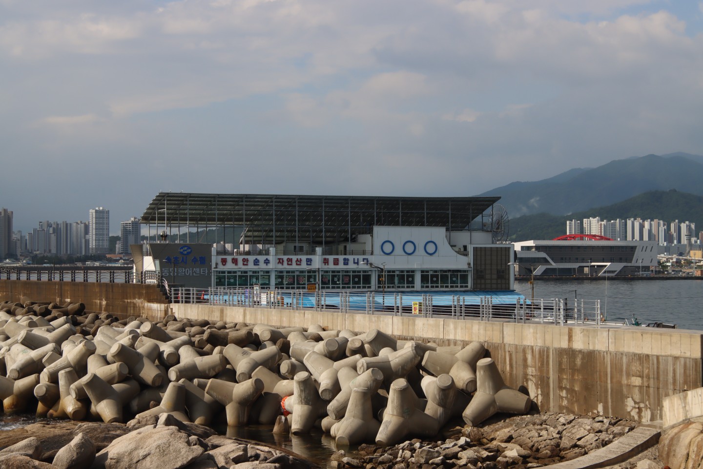 Mengenal Tetrapod: Fungsi dan Cara Pemasangannya